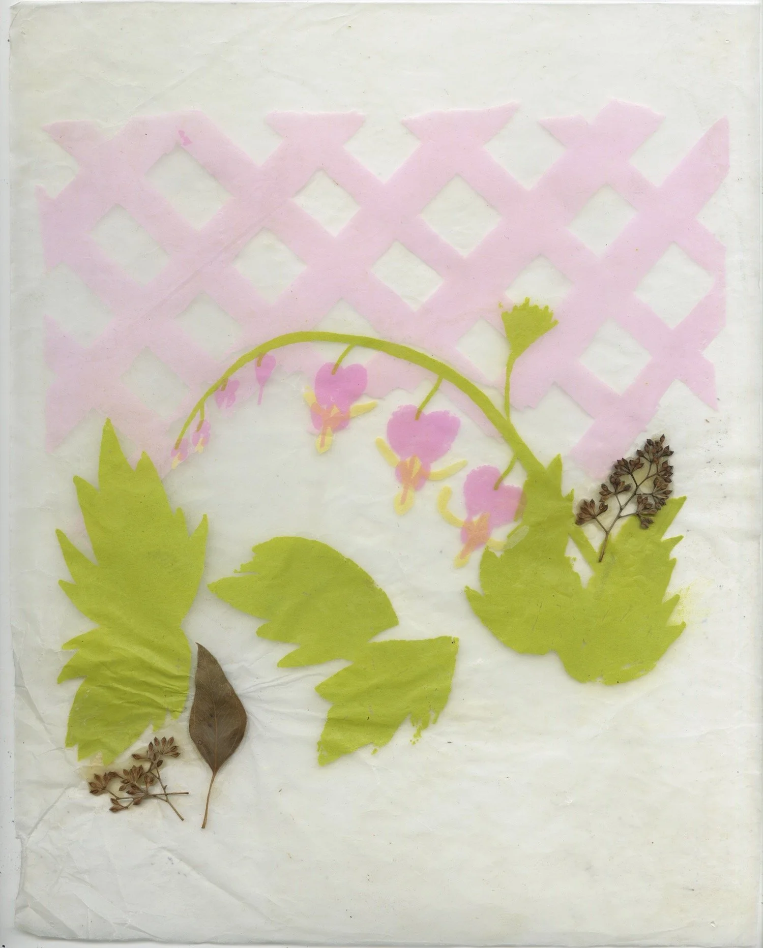 Non-Archival — Liv Anderson