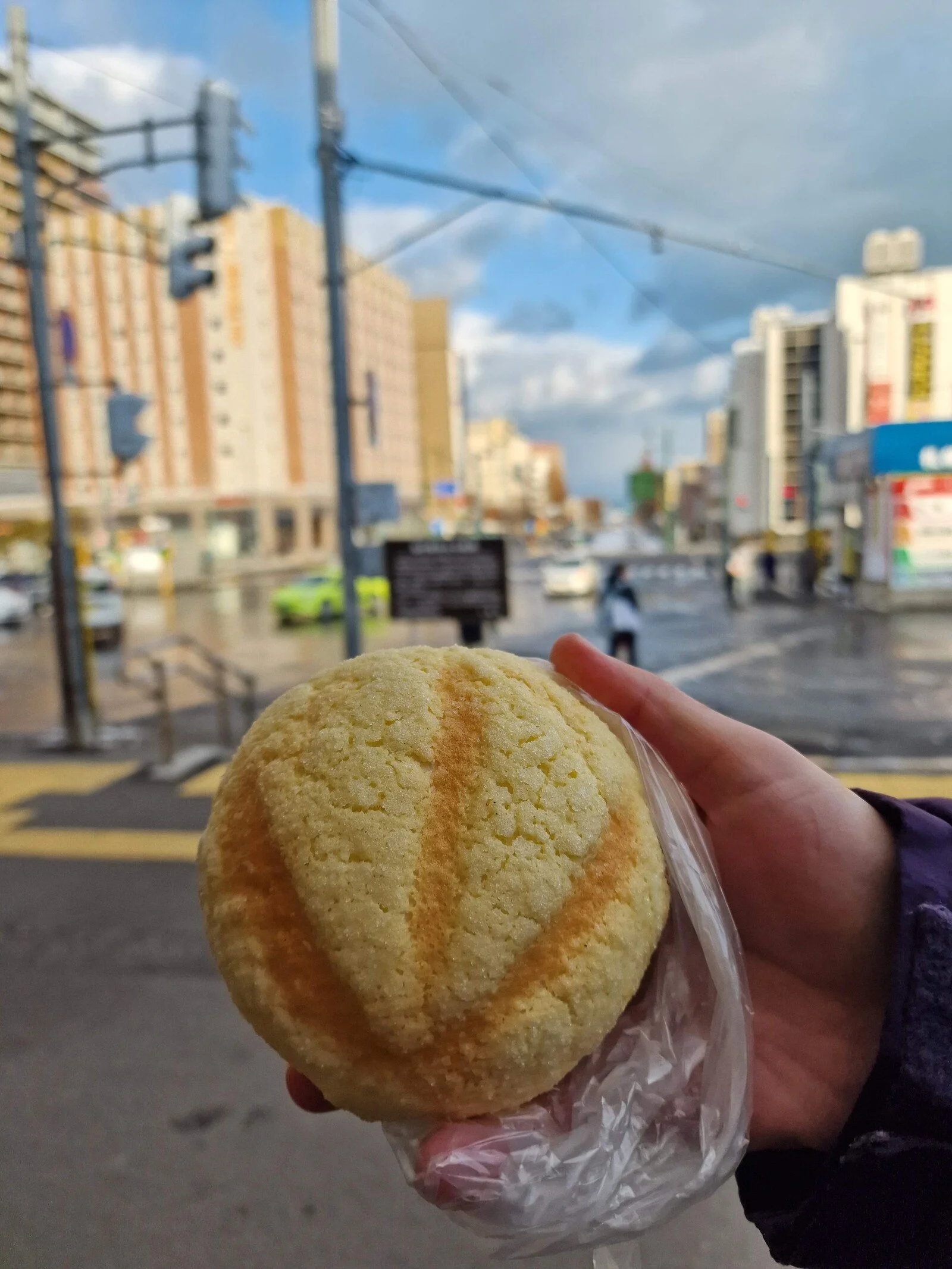 A fun Sapporo to Otaru day trip itinerary, Hokkaido Japan — Helena Bradbury