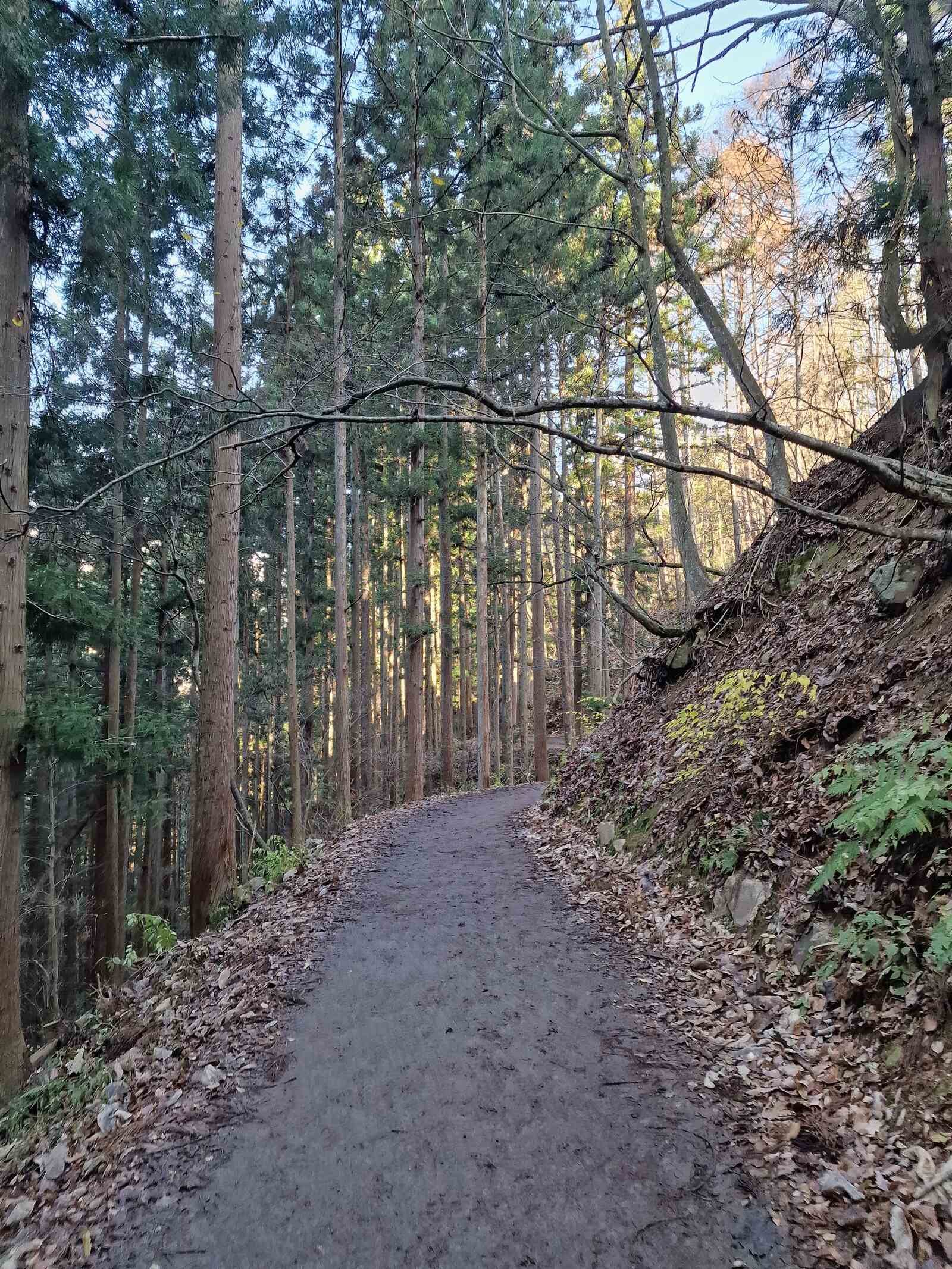 How and where to see the Japanese snow monkeys in April — Helena Bradbury