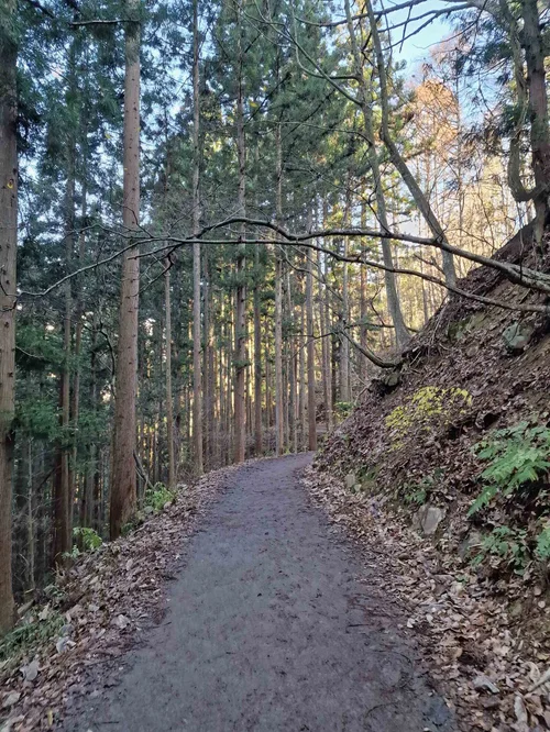 How and where to see the Japanese snow monkeys in April — Helena Bradbury