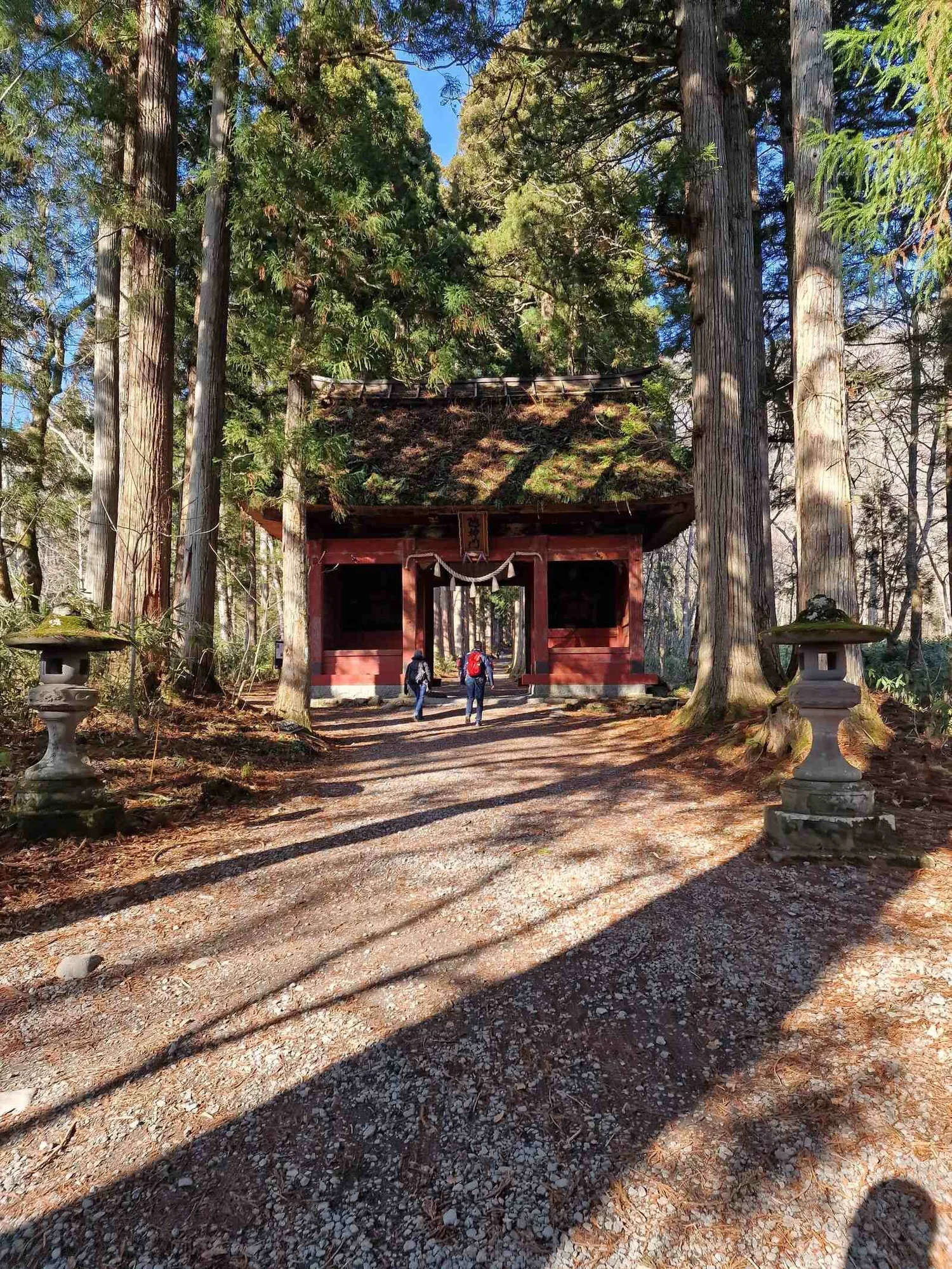 Togakushi Hike: A guide to the Togakushi shrine walk and how to get ...