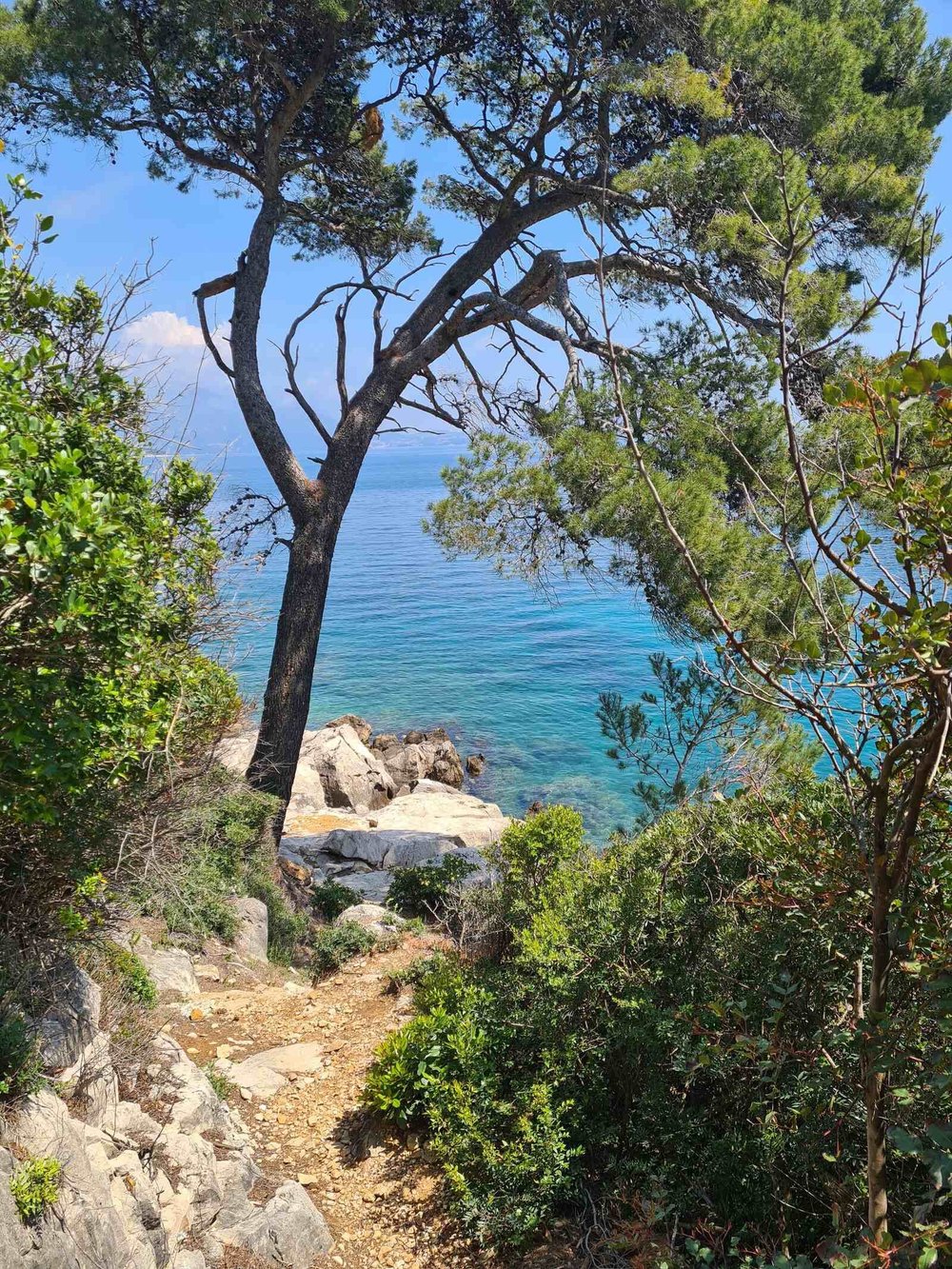 A Lokrum Island day trip from Dubrovnik, Croatia - everything you need ...