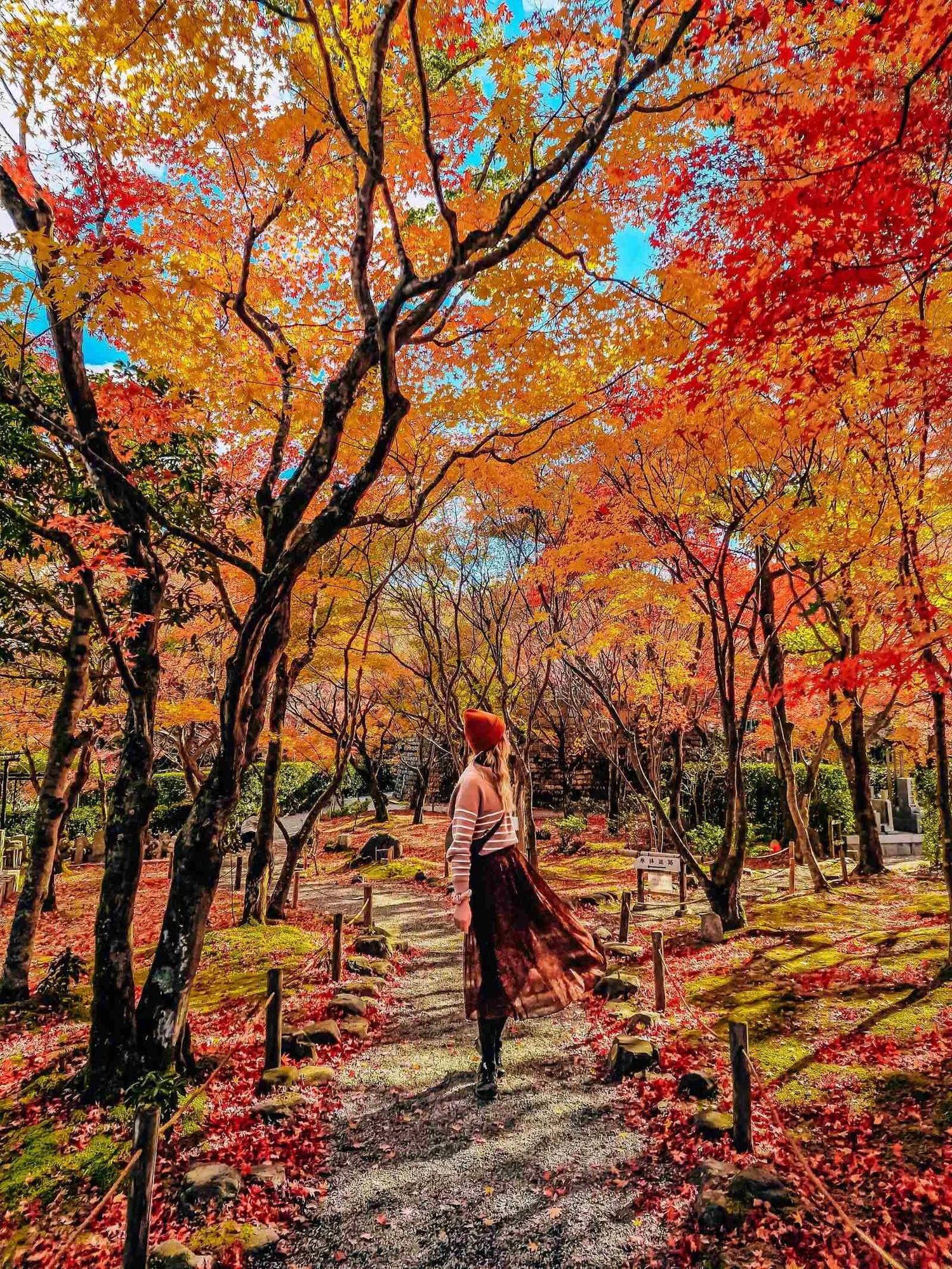 The best places to visit in Kyoto in autumn — Helena Bradbury