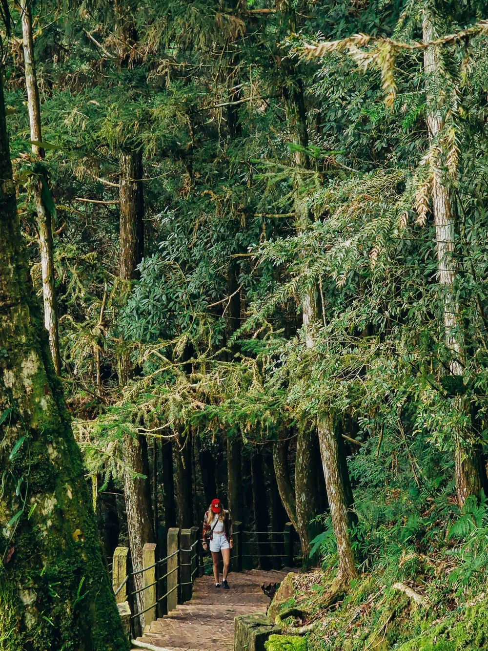 How to spend 1 week in Taiwan: itinerary and travel tips — Helena Bradbury