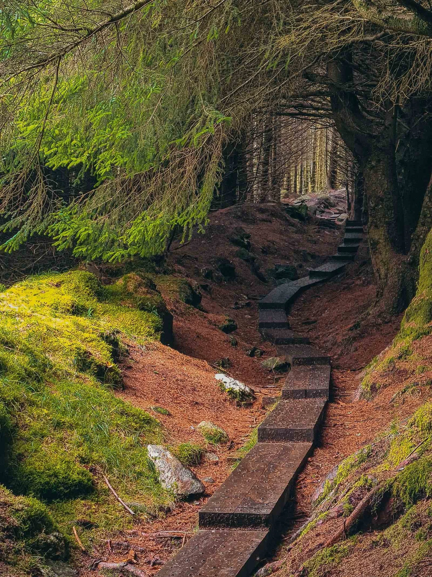 The best easy walks in Ireland with epic views — Helena Bradbury