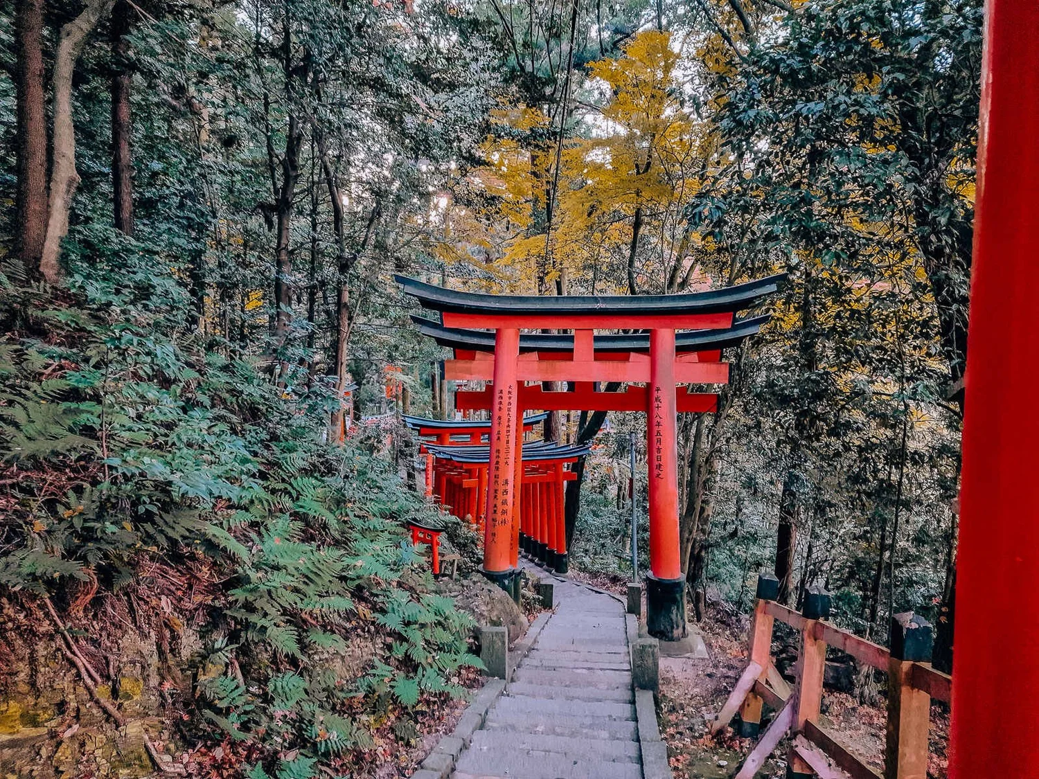 The best places to visit in Kyoto in autumn — Helena Bradbury