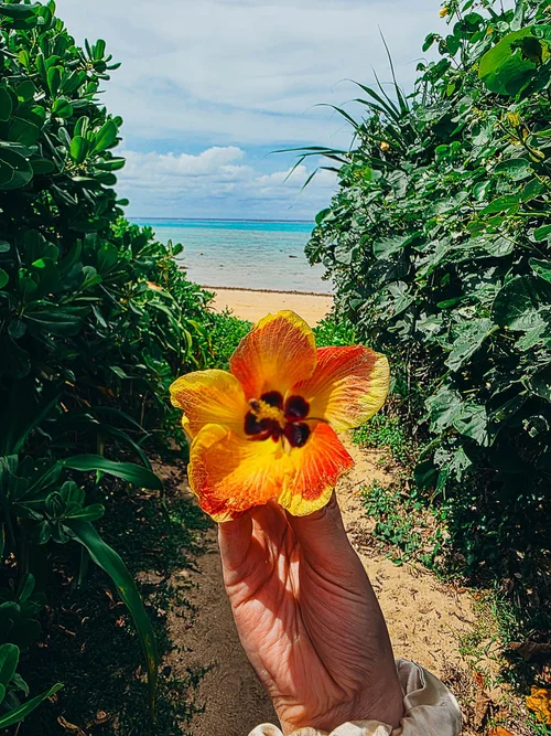 The best things to do in Ishigaki island, Japan — Helena Bradbury