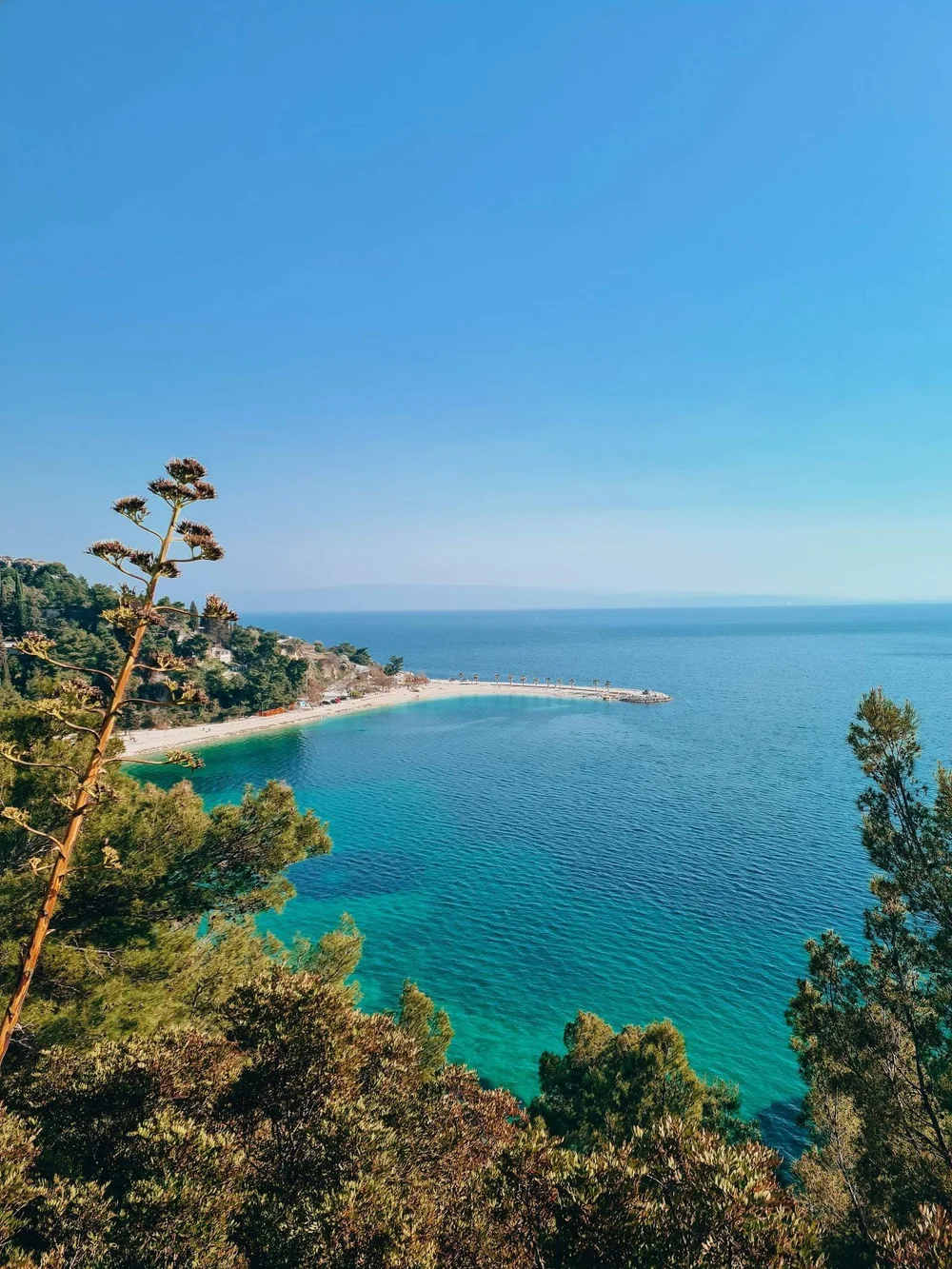 40+ Unique and fun things to do in Split, Croatia (from someone who ...