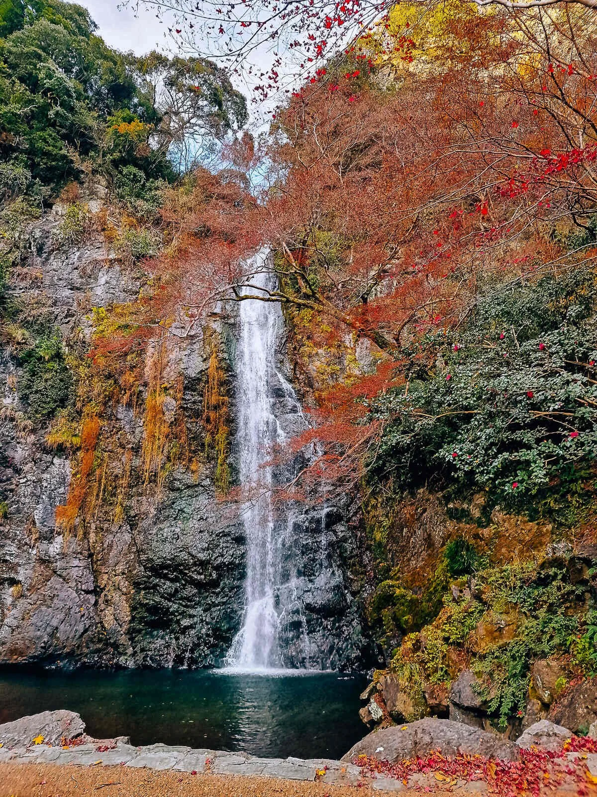 Osaka to Minoh Park and Minoh Falls day trip: the perfect Osaka day ...