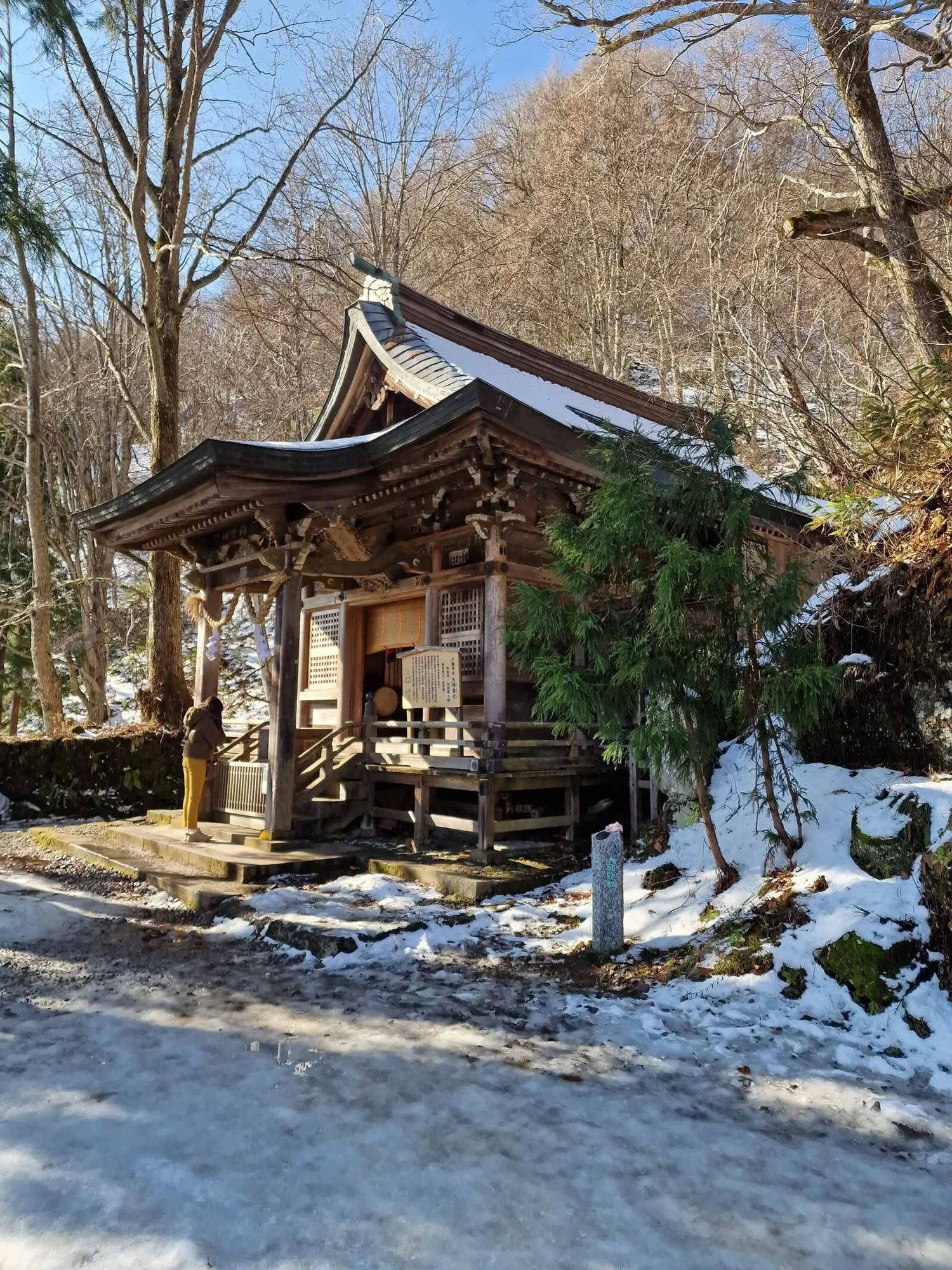 Togakushi Hike: A guide to the Togakushi shrine walk and how to get ...