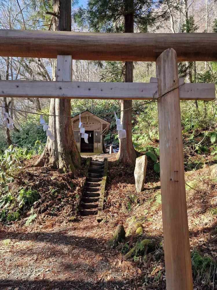 Togakushi Hike: A guide to the Togakushi shrine walk and how to get ...