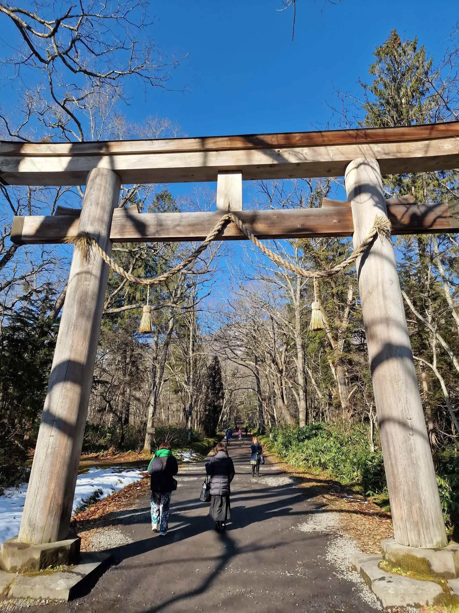 Togakushi Hike: A guide to the Togakushi shrine walk and how to get ...