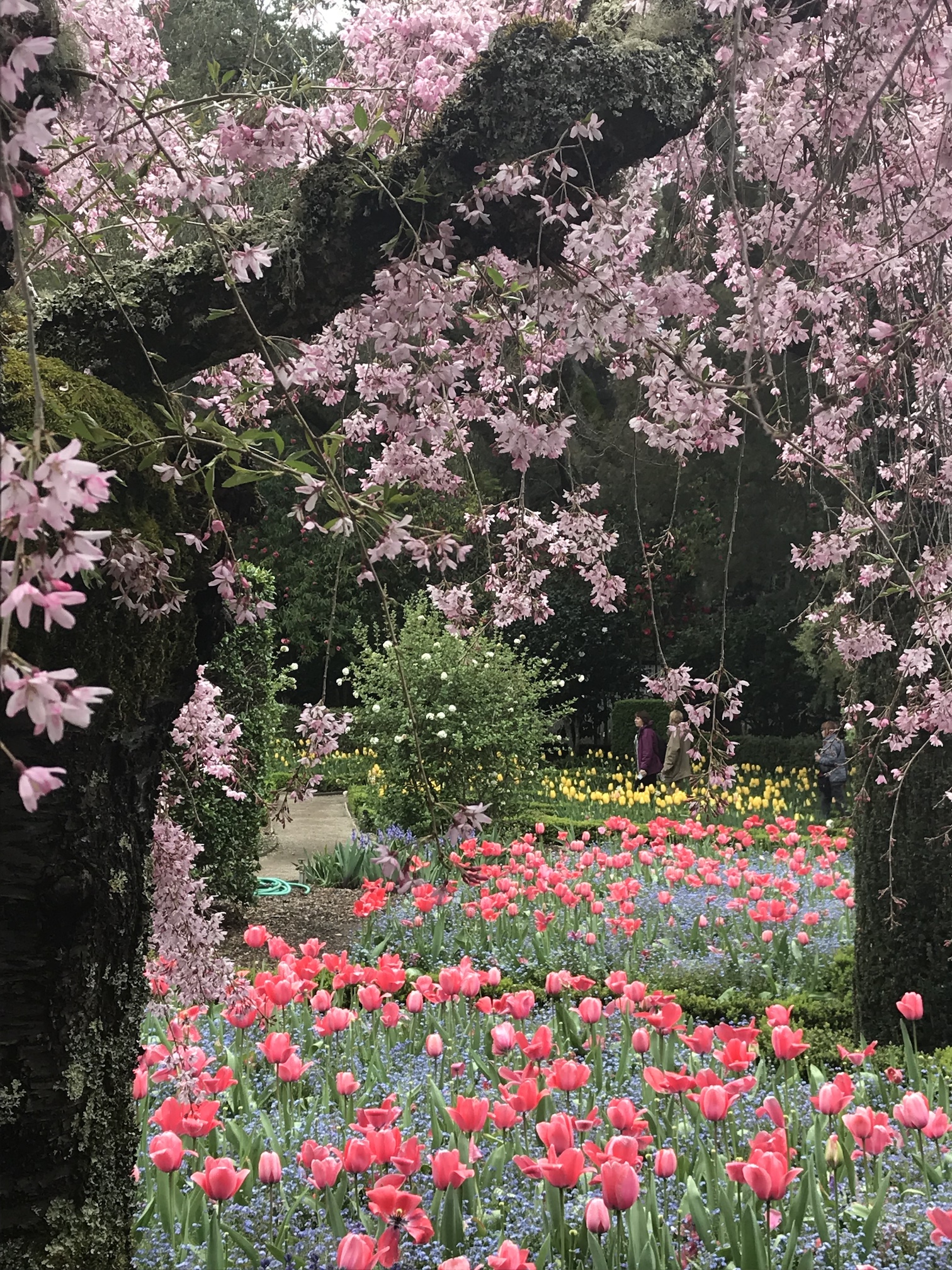 Gardening at Filoli — This Outside Life