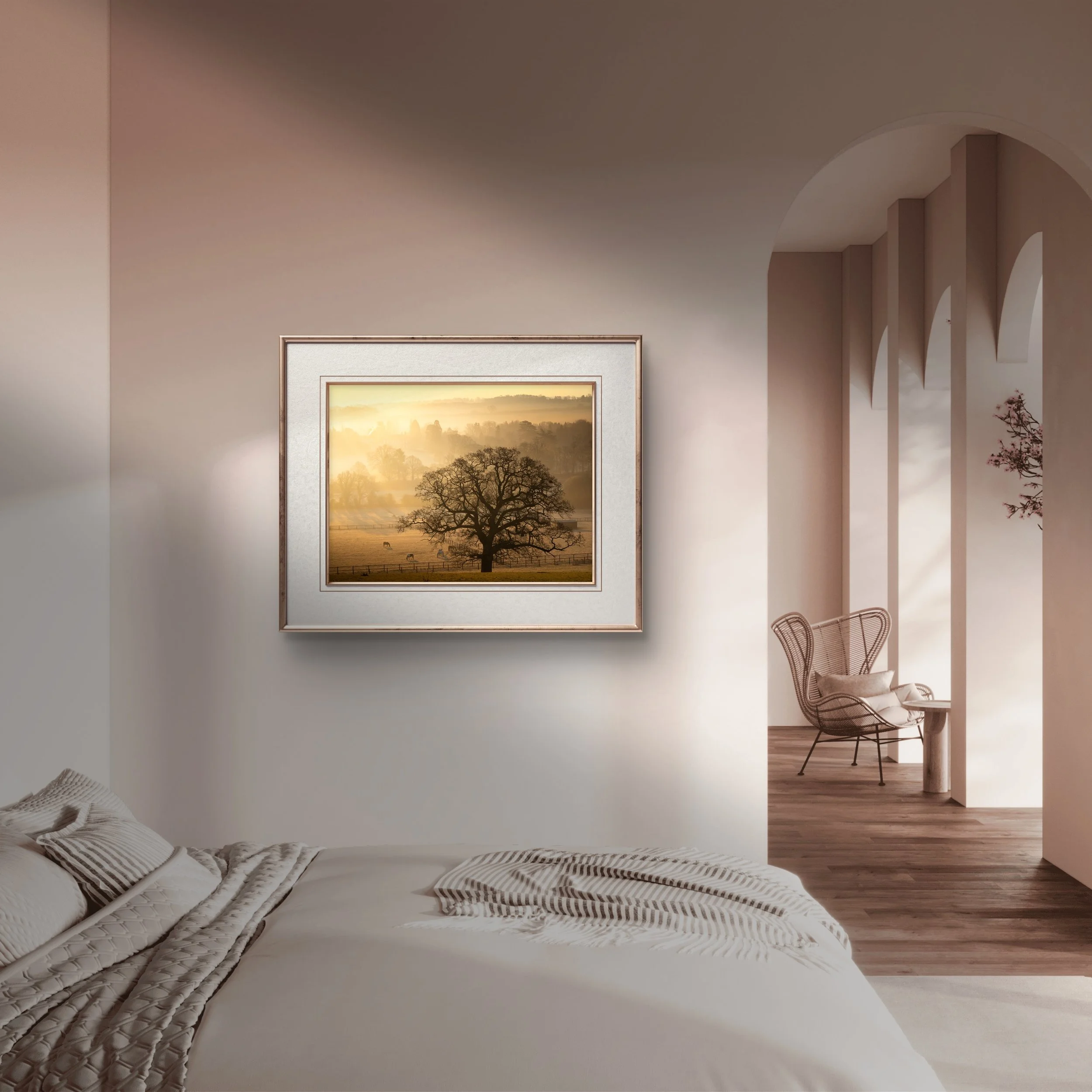 Robin Dodd | Woodland & Landscapes Photography UK & Beyond
