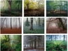 Robin Dodd | Woodland & Landscapes Photography UK & Beyond