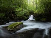 Robin Dodd | Woodland & Landscapes Photography UK & Beyond
