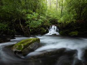 Robin Dodd | Woodland & Landscapes Photography UK & Beyond