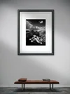 Robin Dodd | Woodland & Landscapes Photography UK & Beyond