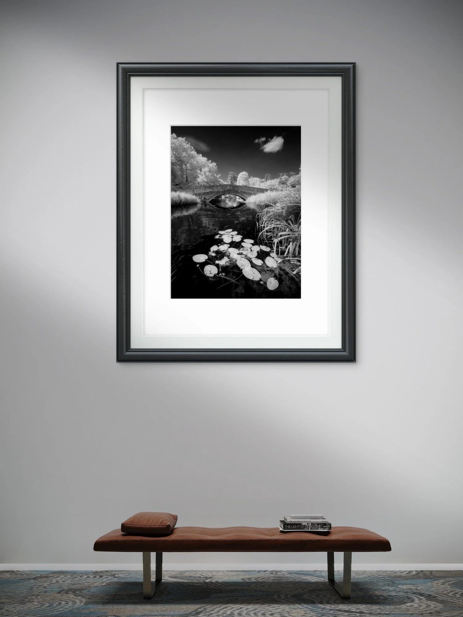 Robin Dodd | Woodland & Landscapes Photography UK & Beyond