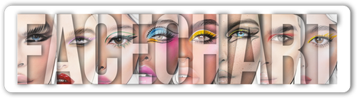 What are face charts used for? Face chart 101 | FACECHART by Liza ...