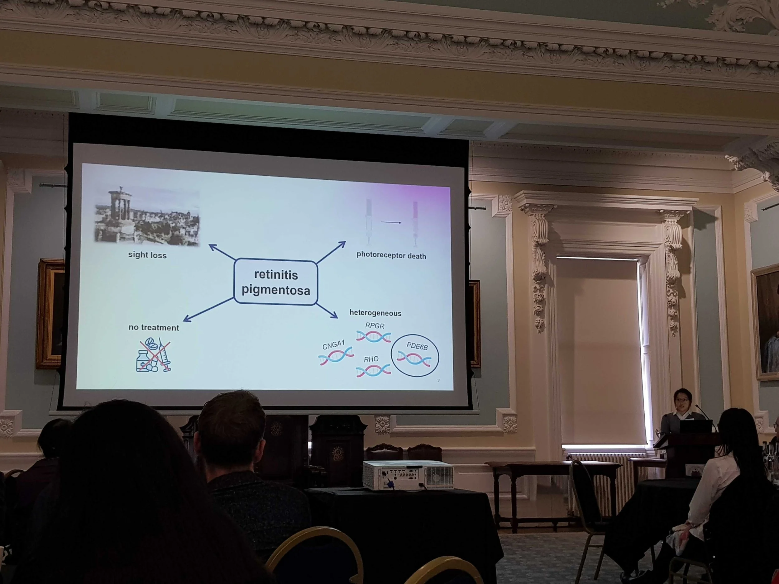 Mill lab British Association for Ophthalmic Pathology Podium Hat Trick ...