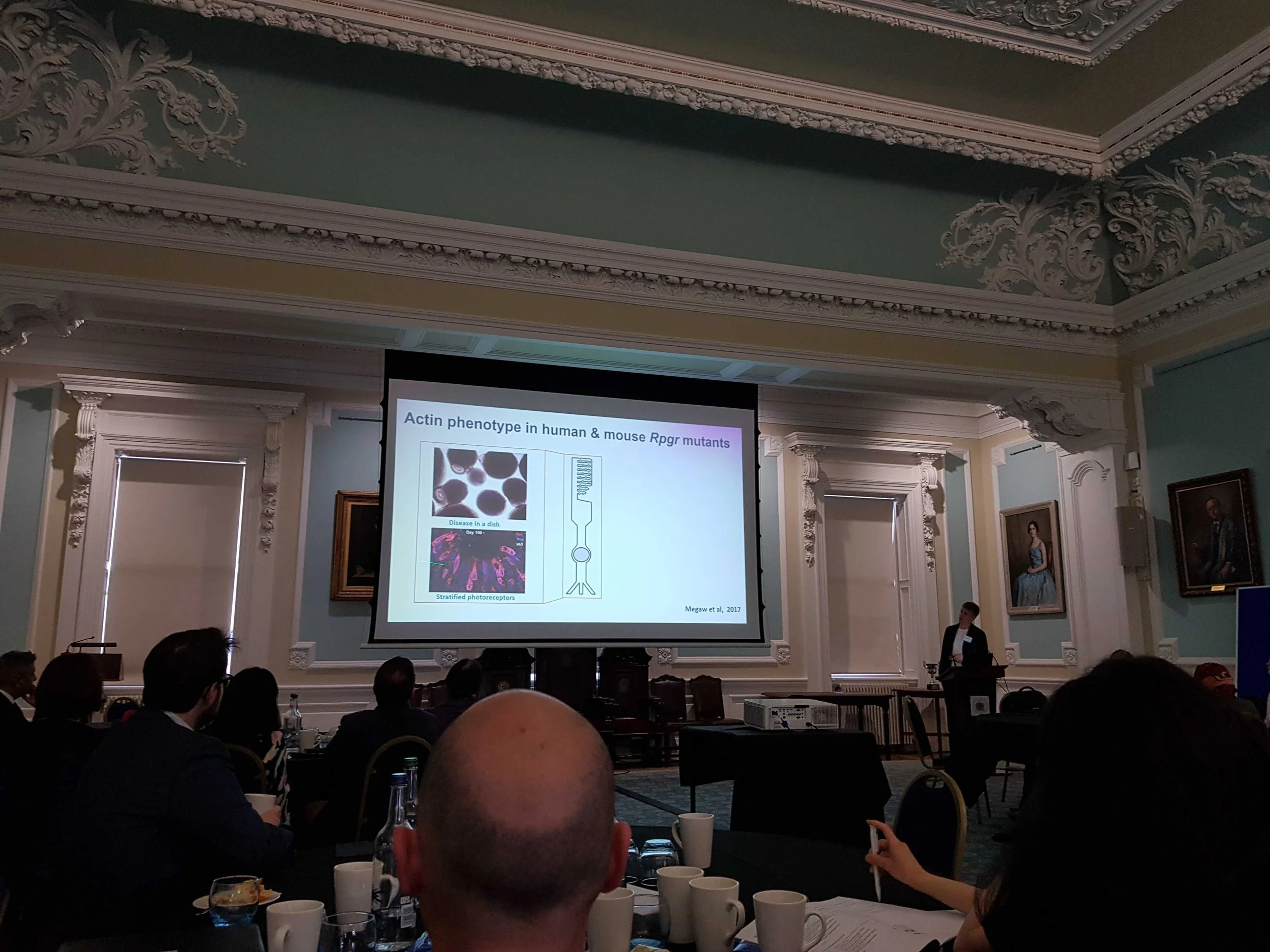 Mill lab British Association for Ophthalmic Pathology Podium Hat Trick ...