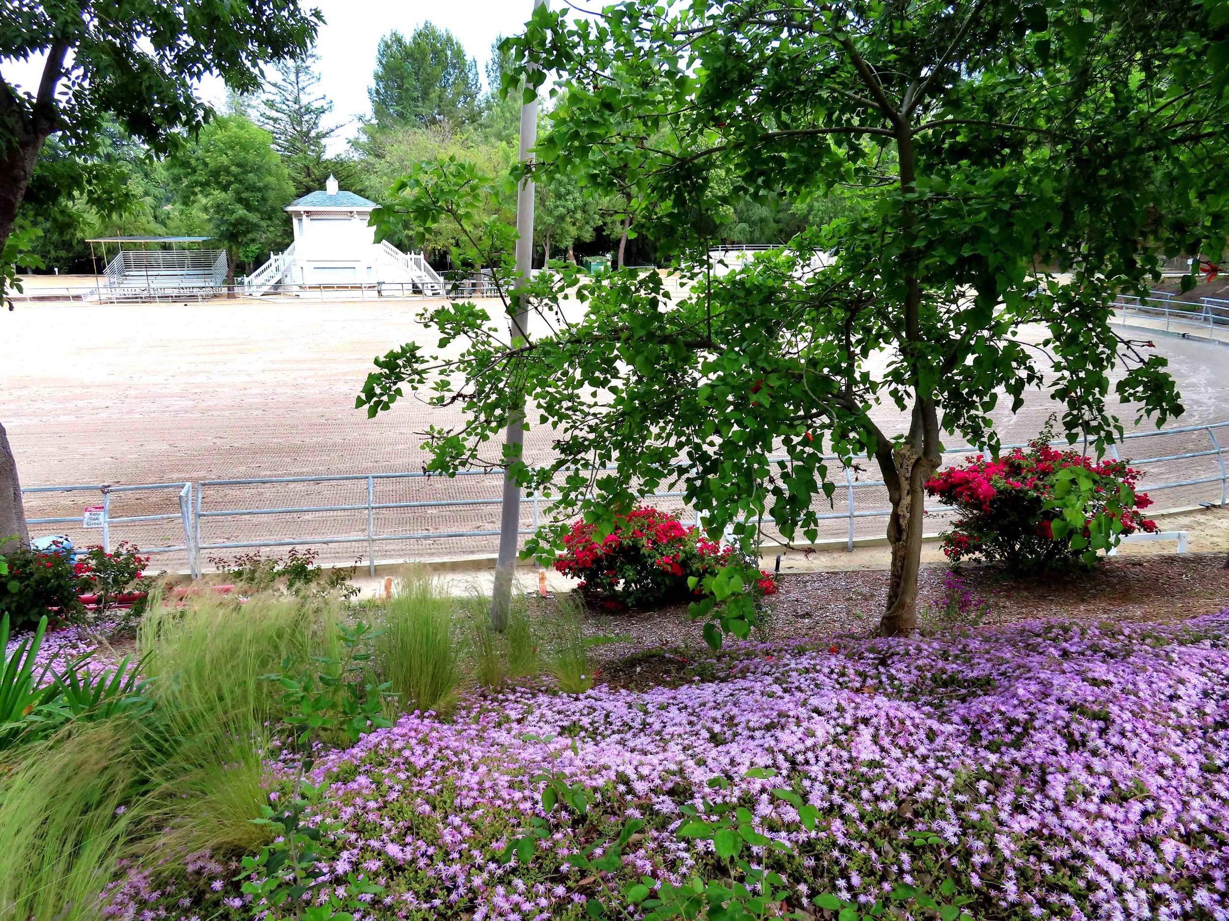 Arenas — HIDDEN HILLS