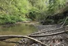 Pittsburgh Greenway Program — Biophilic Cities