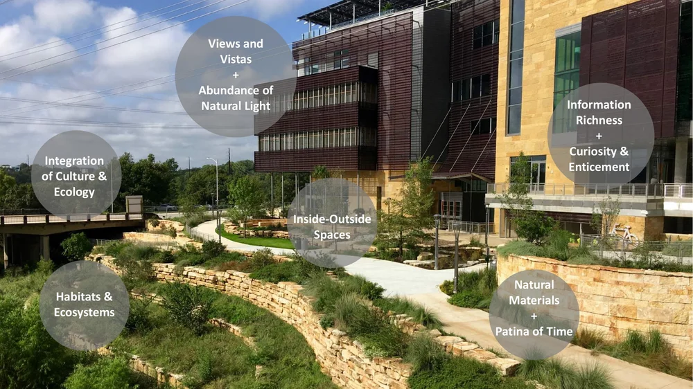 Austin Library — Biophilic Cities