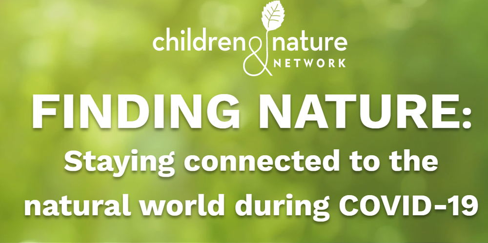 COVID-19 Research — Biophilic Cities