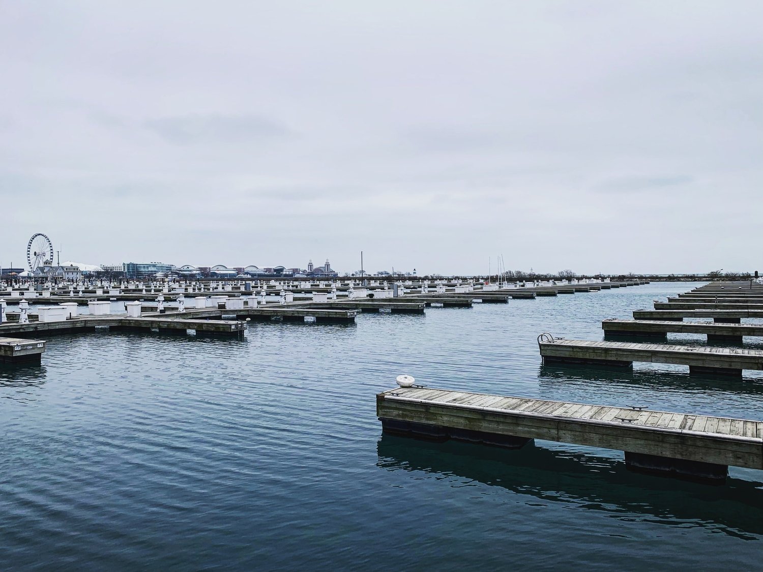 Growing Water: Designing for Water Shortage Solutions in Chicago ...