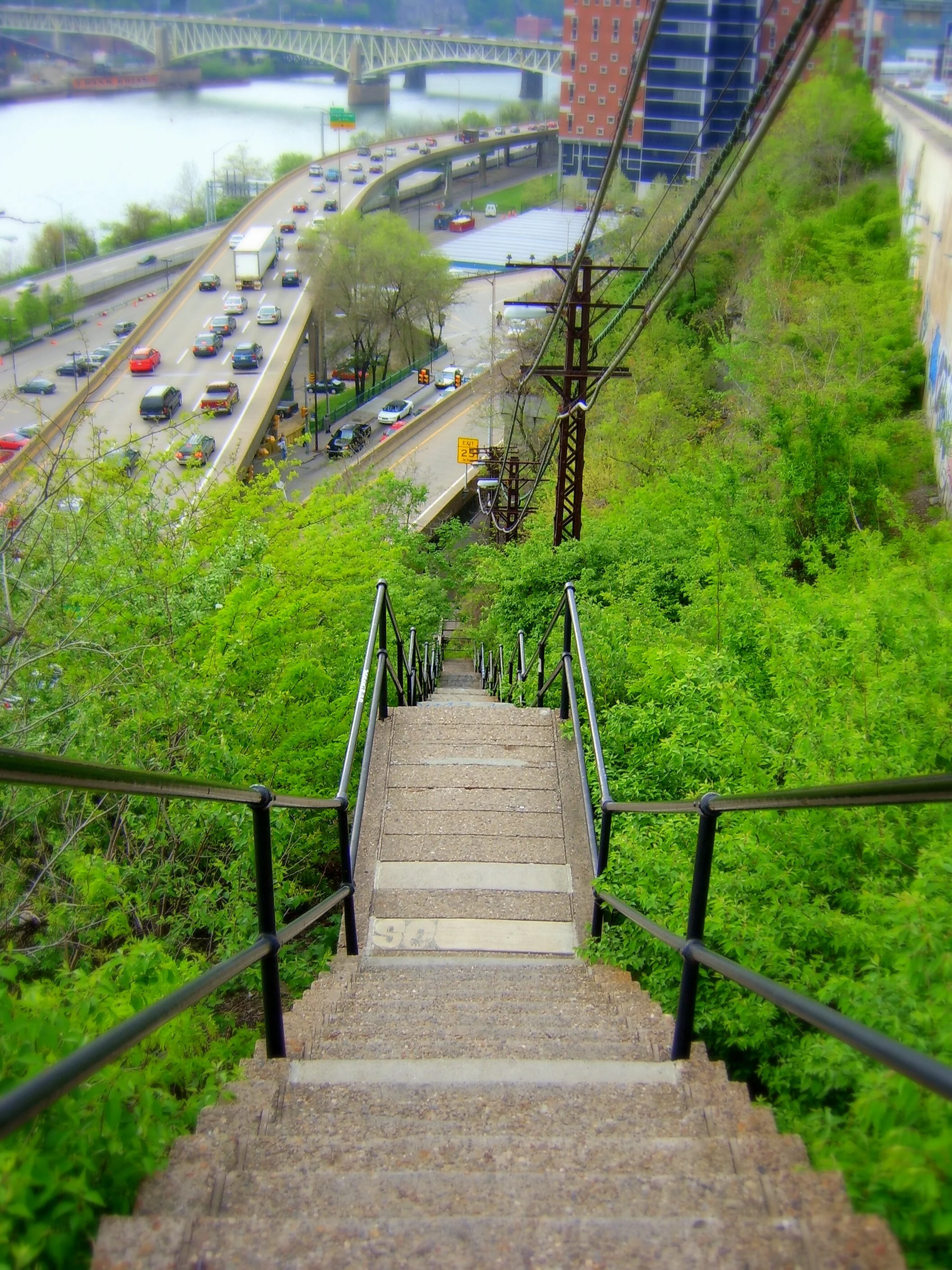 City Steps — Biophilic Cities