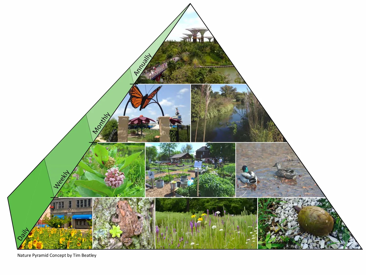 The Nature Pyramid — Biophilic Cities