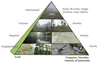 The Nature Pyramid — Biophilic Cities