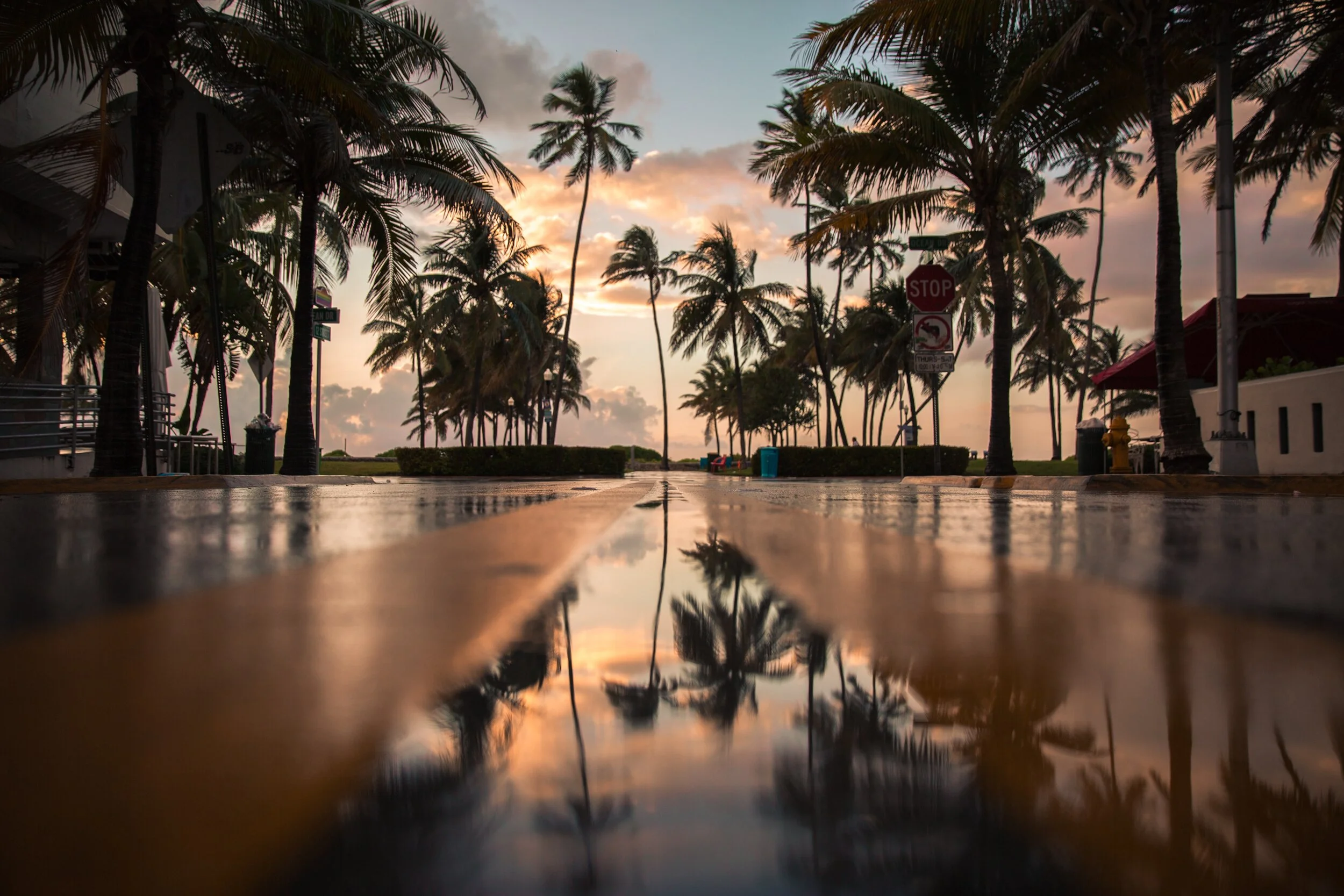 Miami Dade County — Biophilic Cities