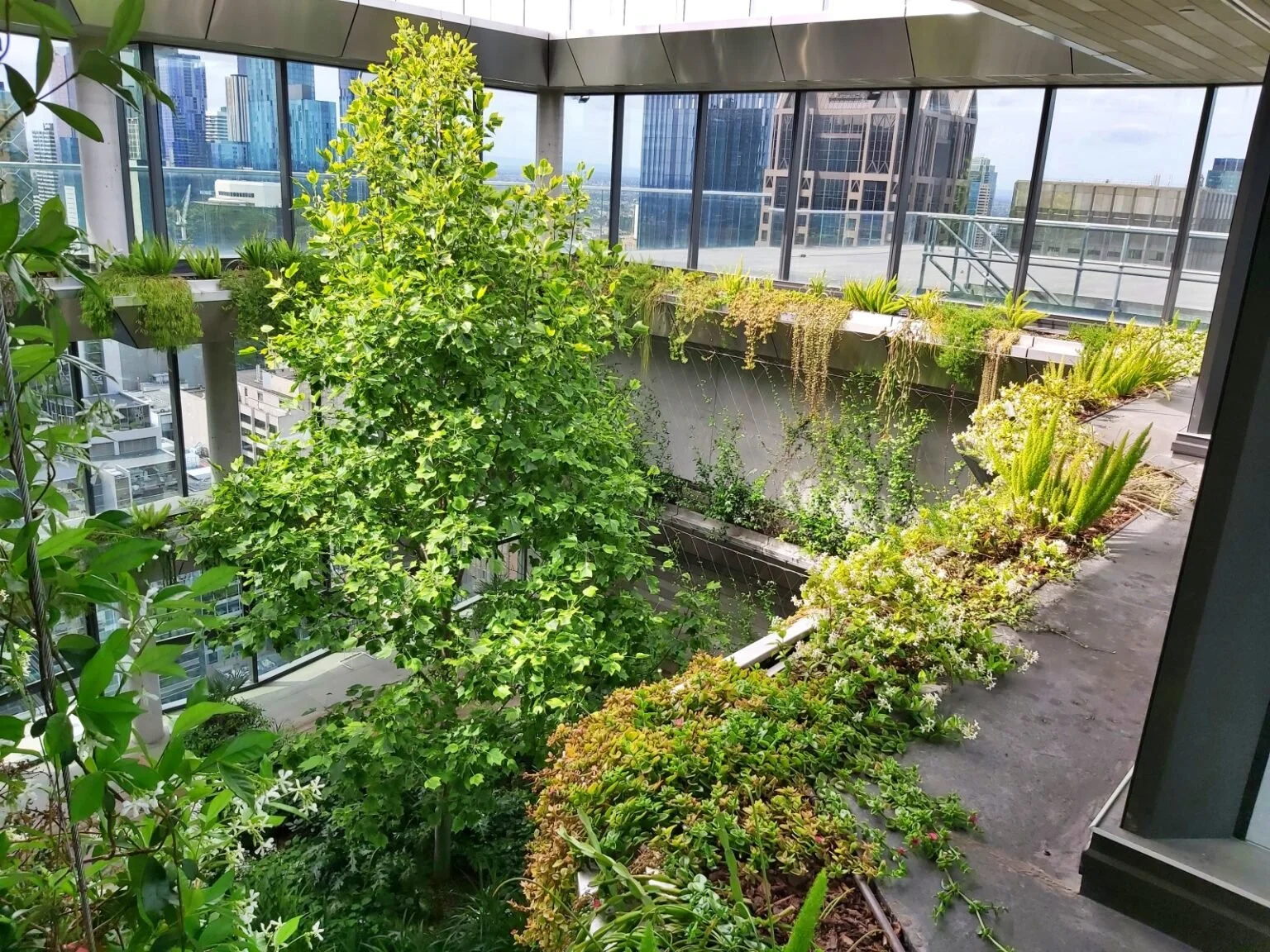 Mixed-Use Projects — Biophilic Cities