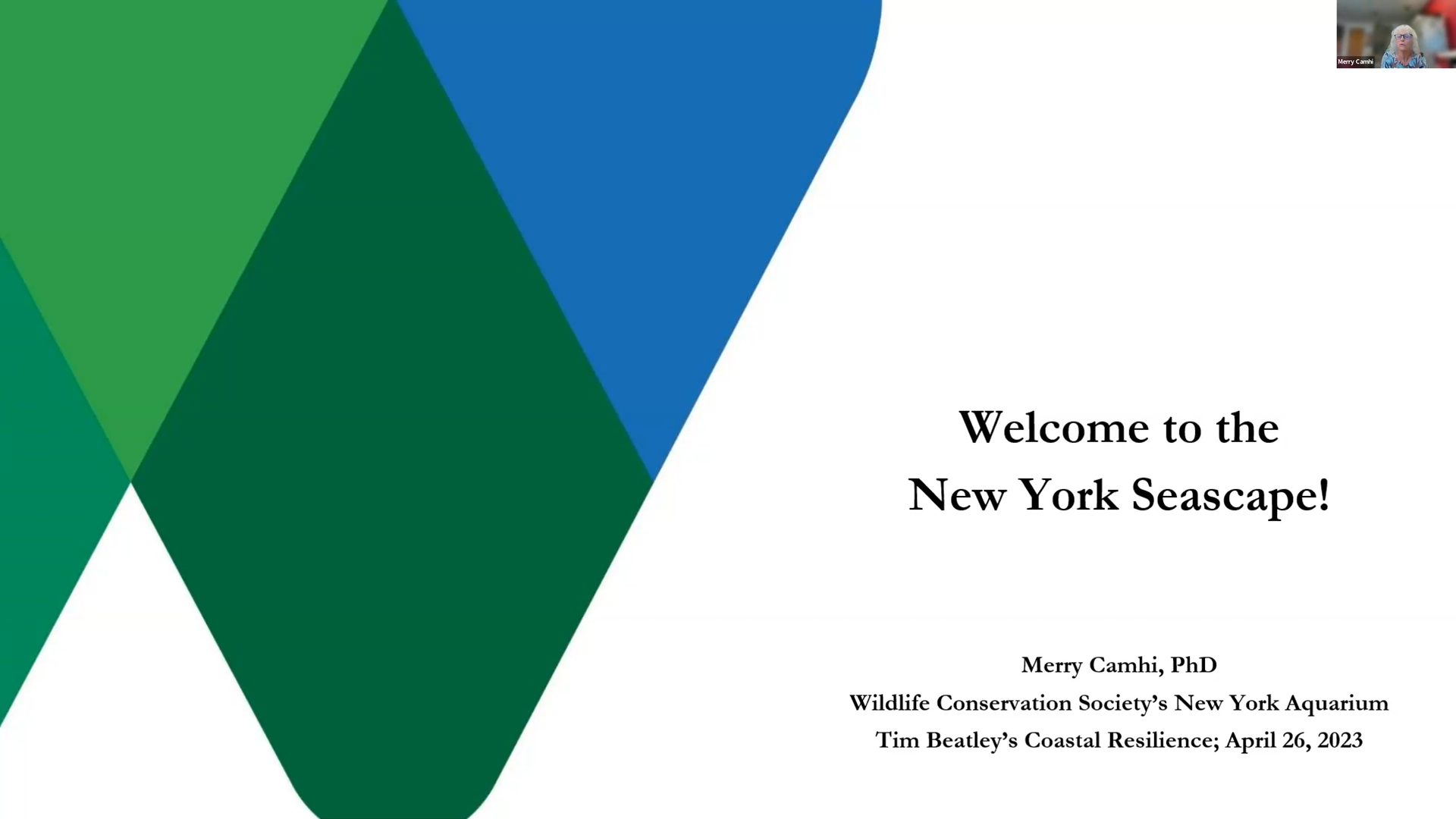 Hear from the Experts — Biophilic Cities