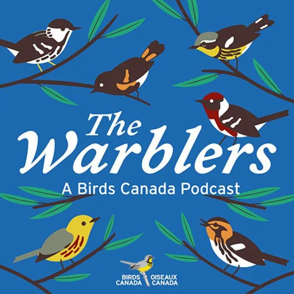 The Bird-Friendly City — Biophilic Cities