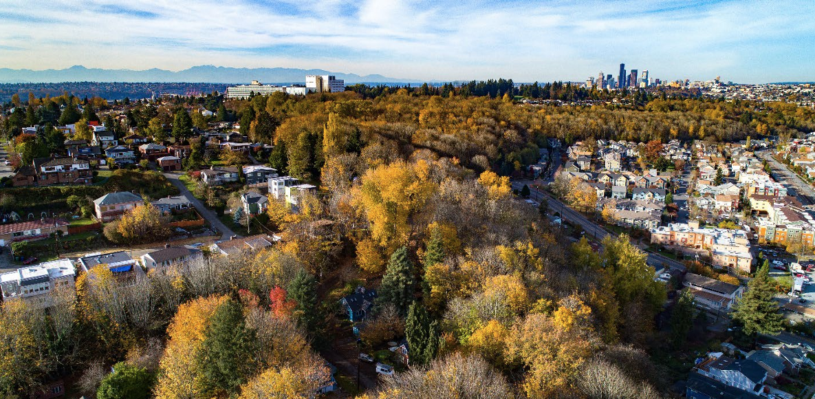 Seattle: Urban Tree Protection — Biophilic Cities