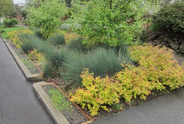 Green Streets — Biophilic Cities