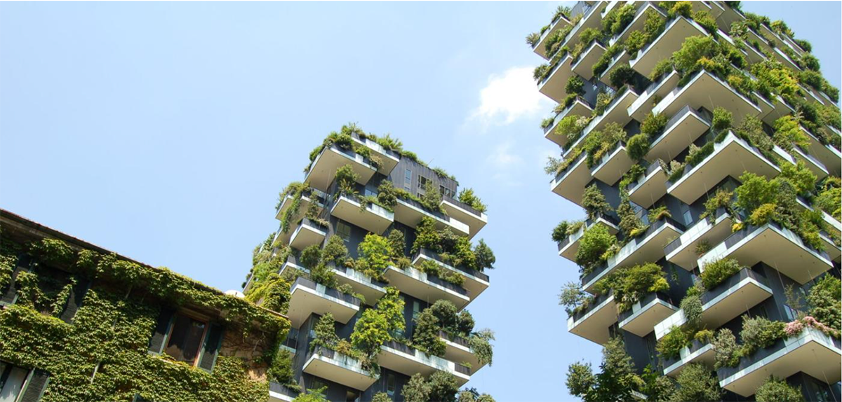 Biophilic Cities
