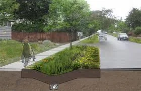 Green Streets — Biophilic Cities