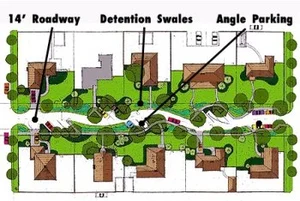 Green Streets — Biophilic Cities