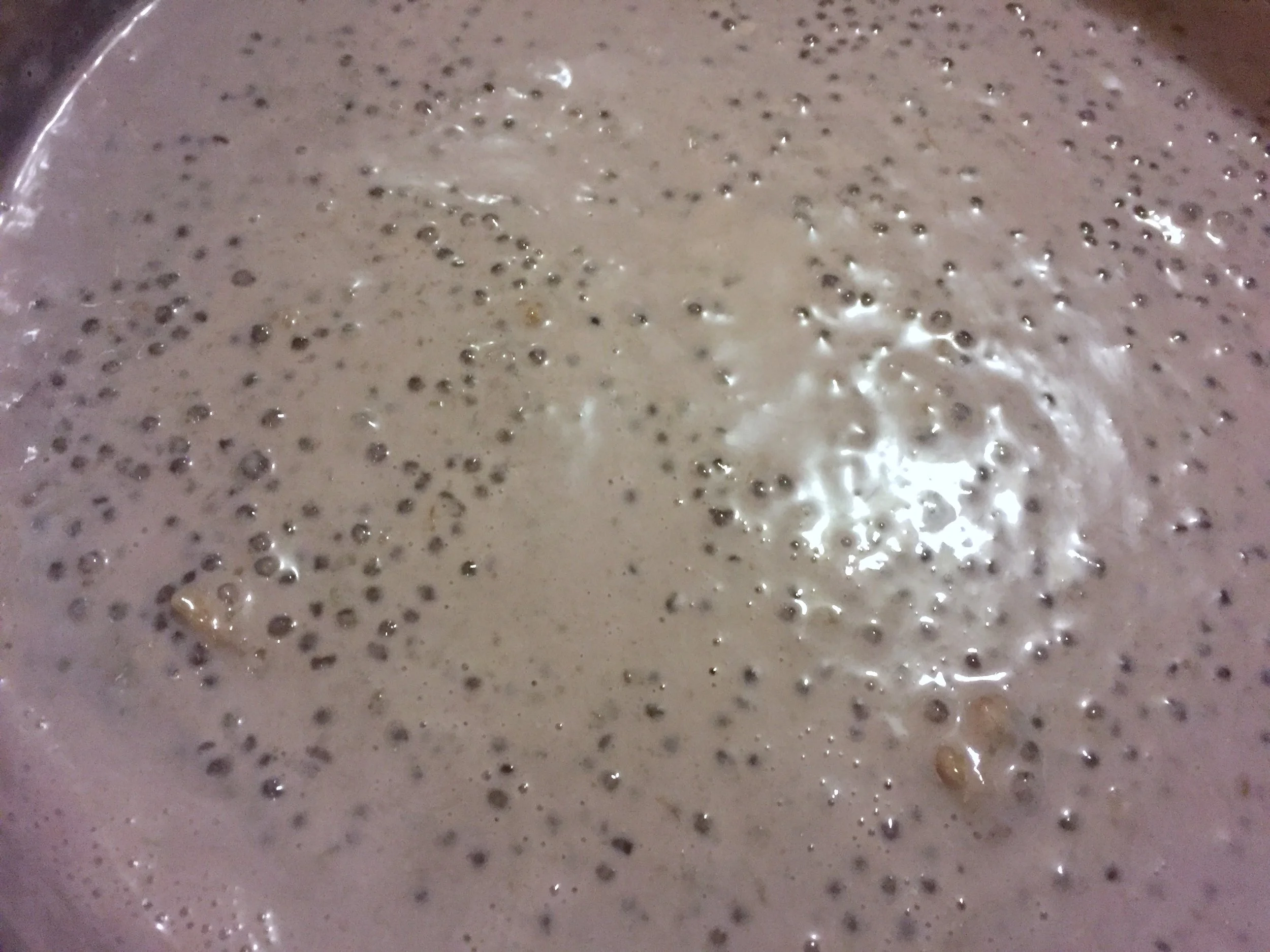 Taro Tapioca Pudding — Phase Changes