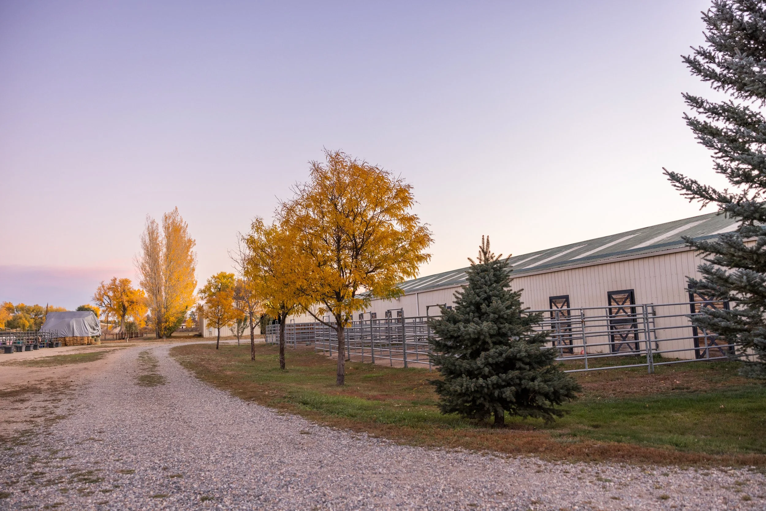Contact — Cornerstone Farm