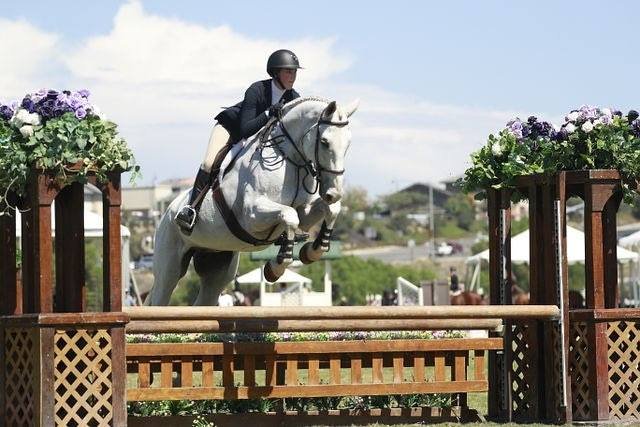 Show Team & IEA — Cornerstone Farm
