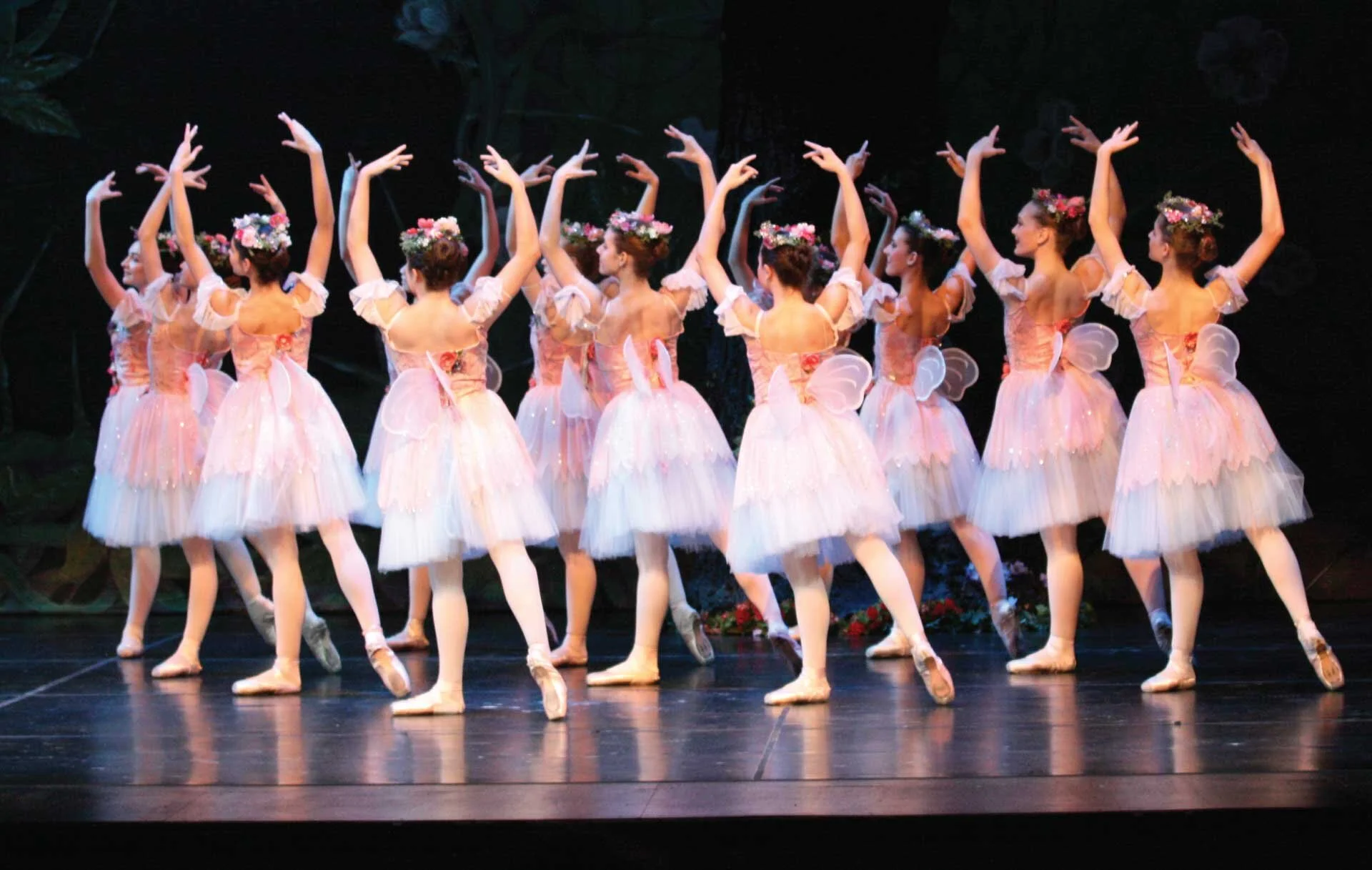 Membership Levels — Hilton Head Dance School & Theatre