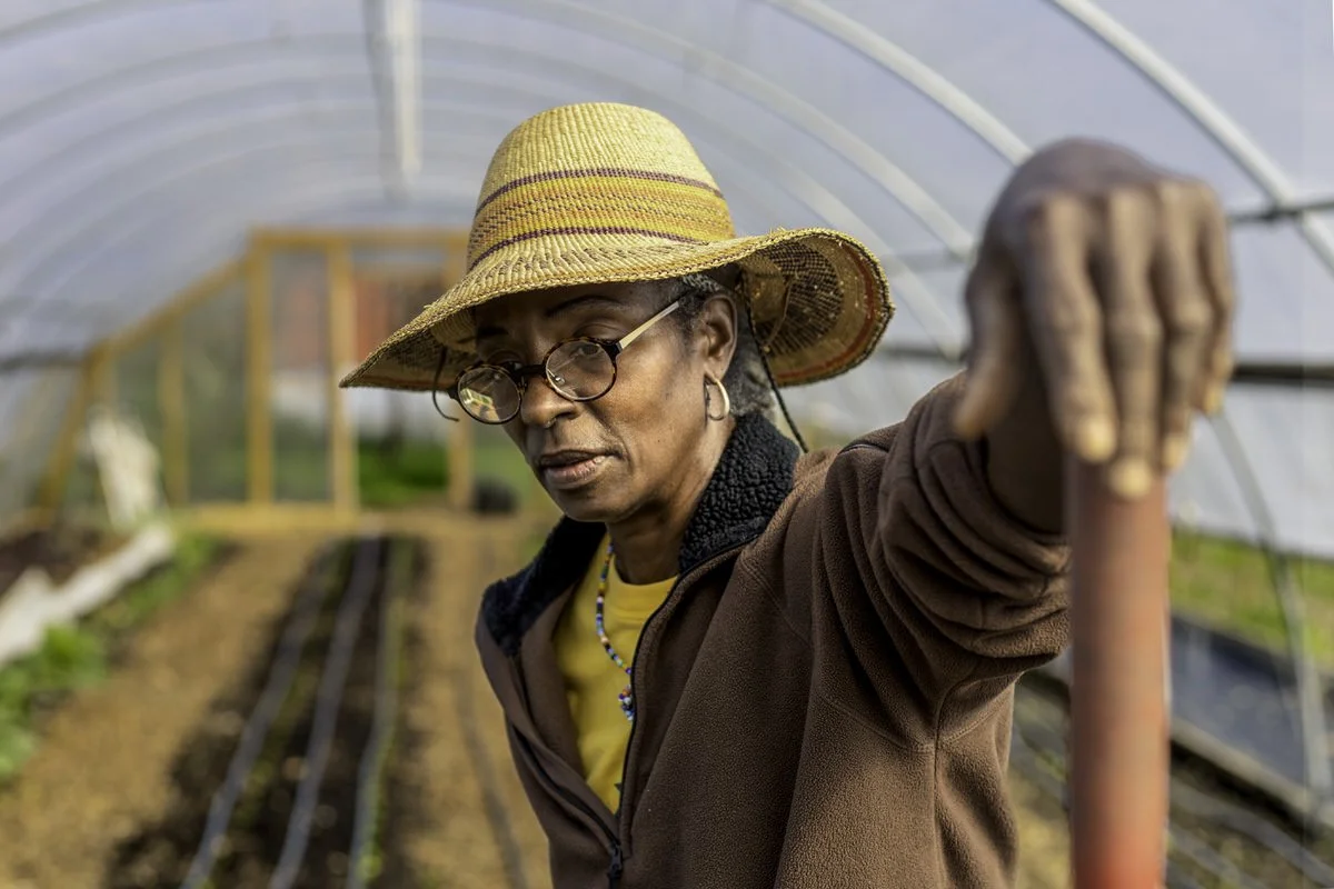 Candace Dane Chambers