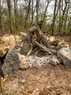 How to Build a Campfire [The Ultimate Guide] | Take The Truck