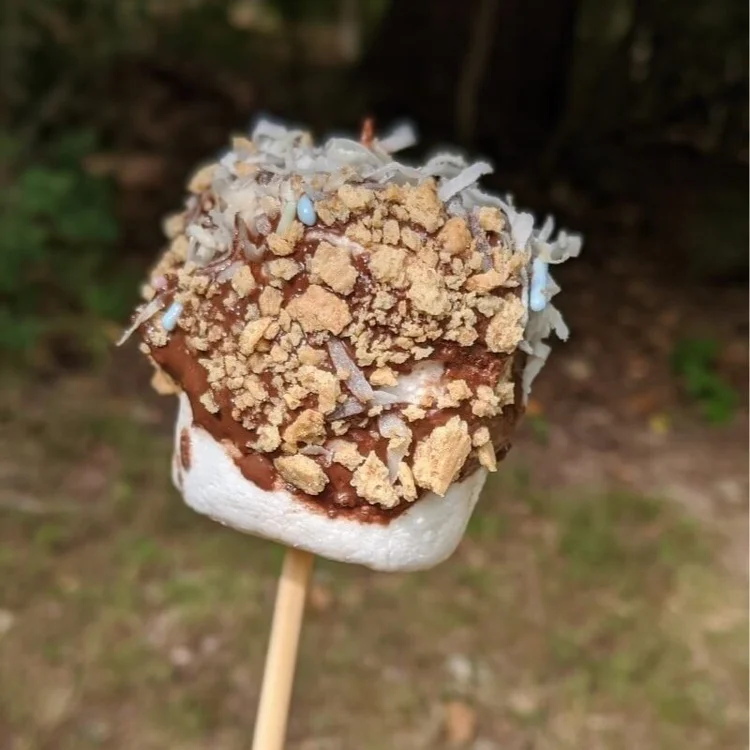 20 Stress-Free Easy Camping Dessert Ideas | Take The Truck
